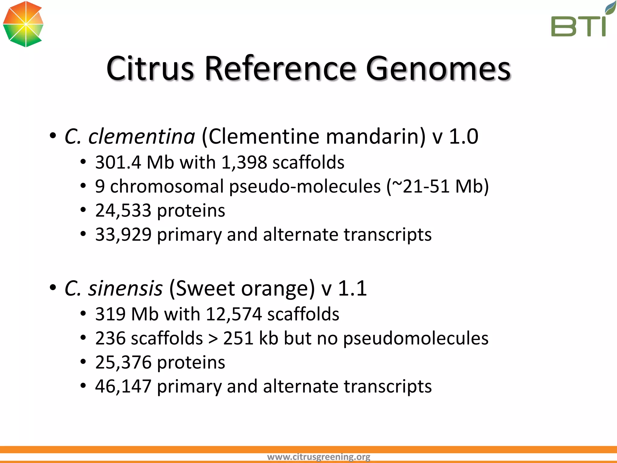 CitrusCyc: Metabolic Pathway Databases for the C. clementina and C ...