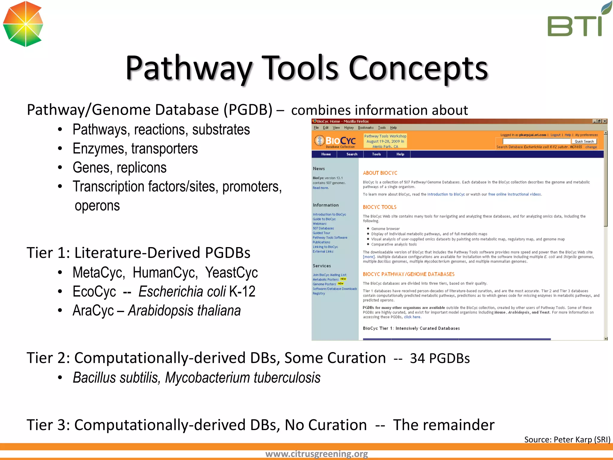 CitrusCyc: Metabolic Pathway Databases for the C. clementina and C ...