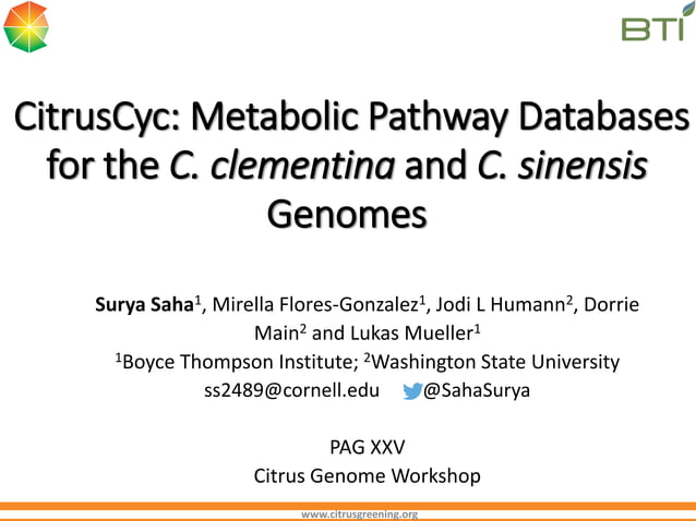 CitrusCyc: Metabolic Pathway Databases for the C. clementina and C ...