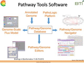 CitrusCyc: Metabolic Pathway Databases for the C. clementina and C ...