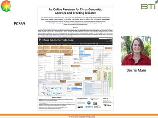 CitrusCyc: Metabolic Pathway Databases for the C. clementina and C ...