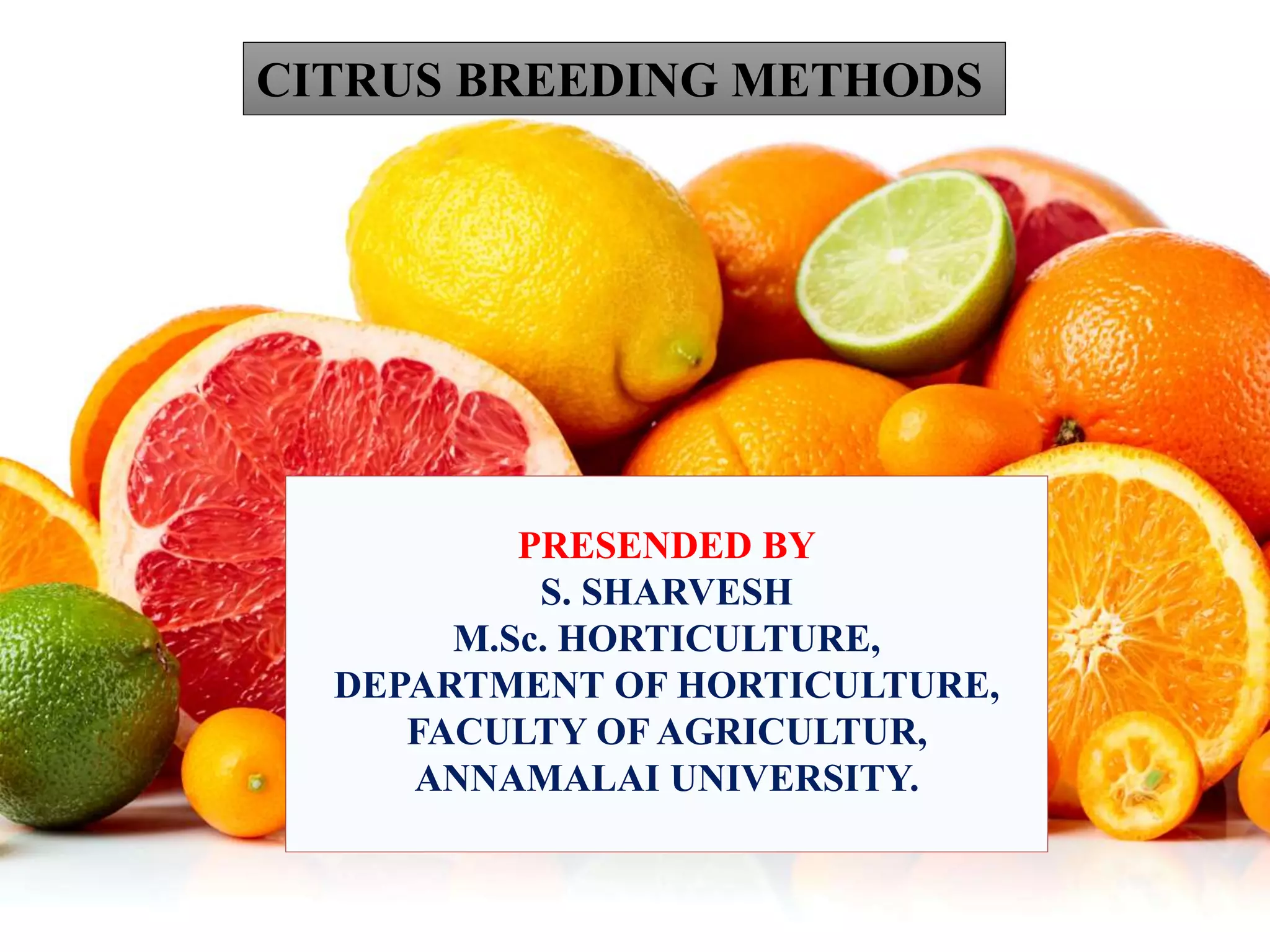 Breeding of citrus | PPTX