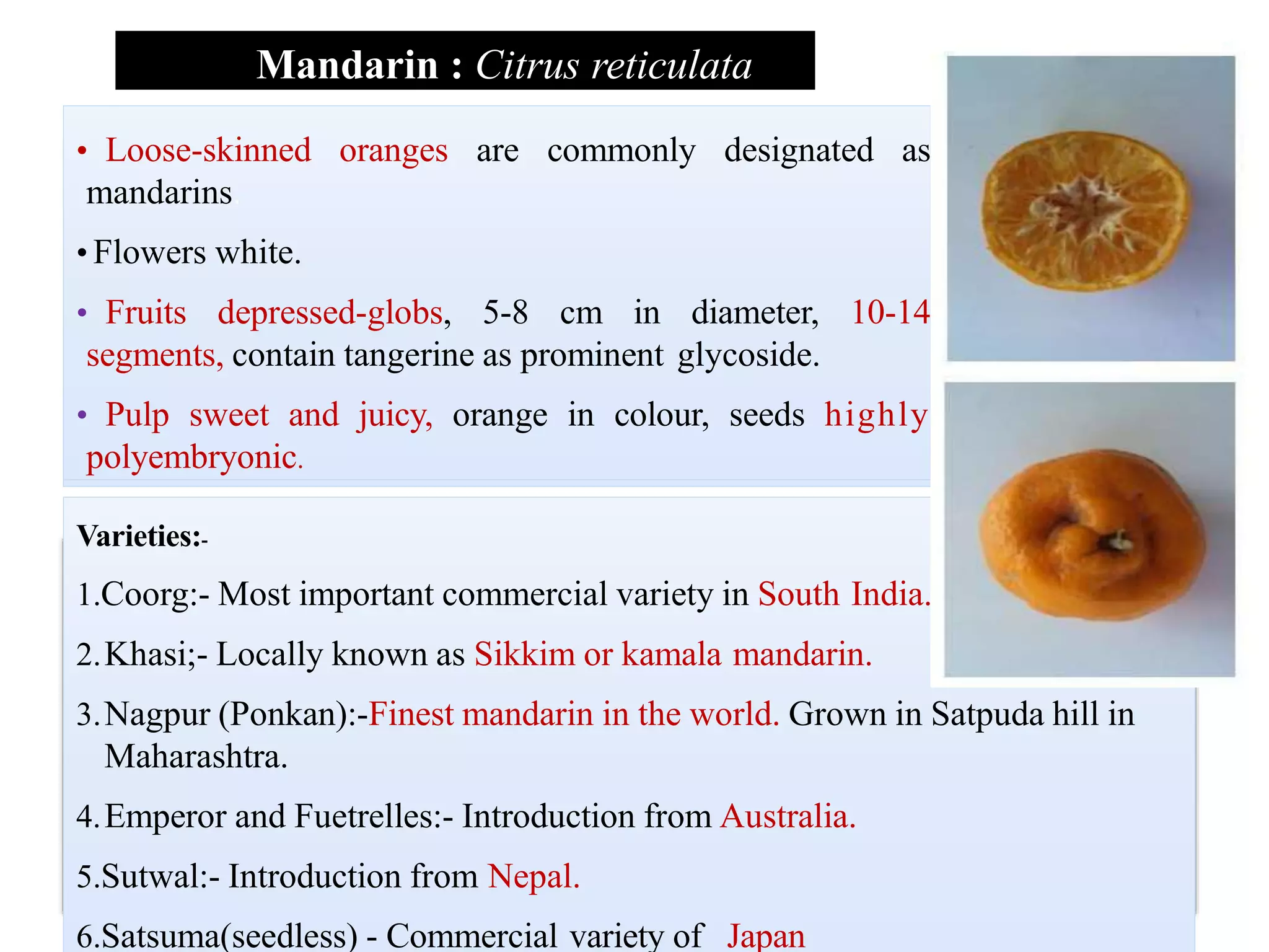 Breeding of citrus | PPTX