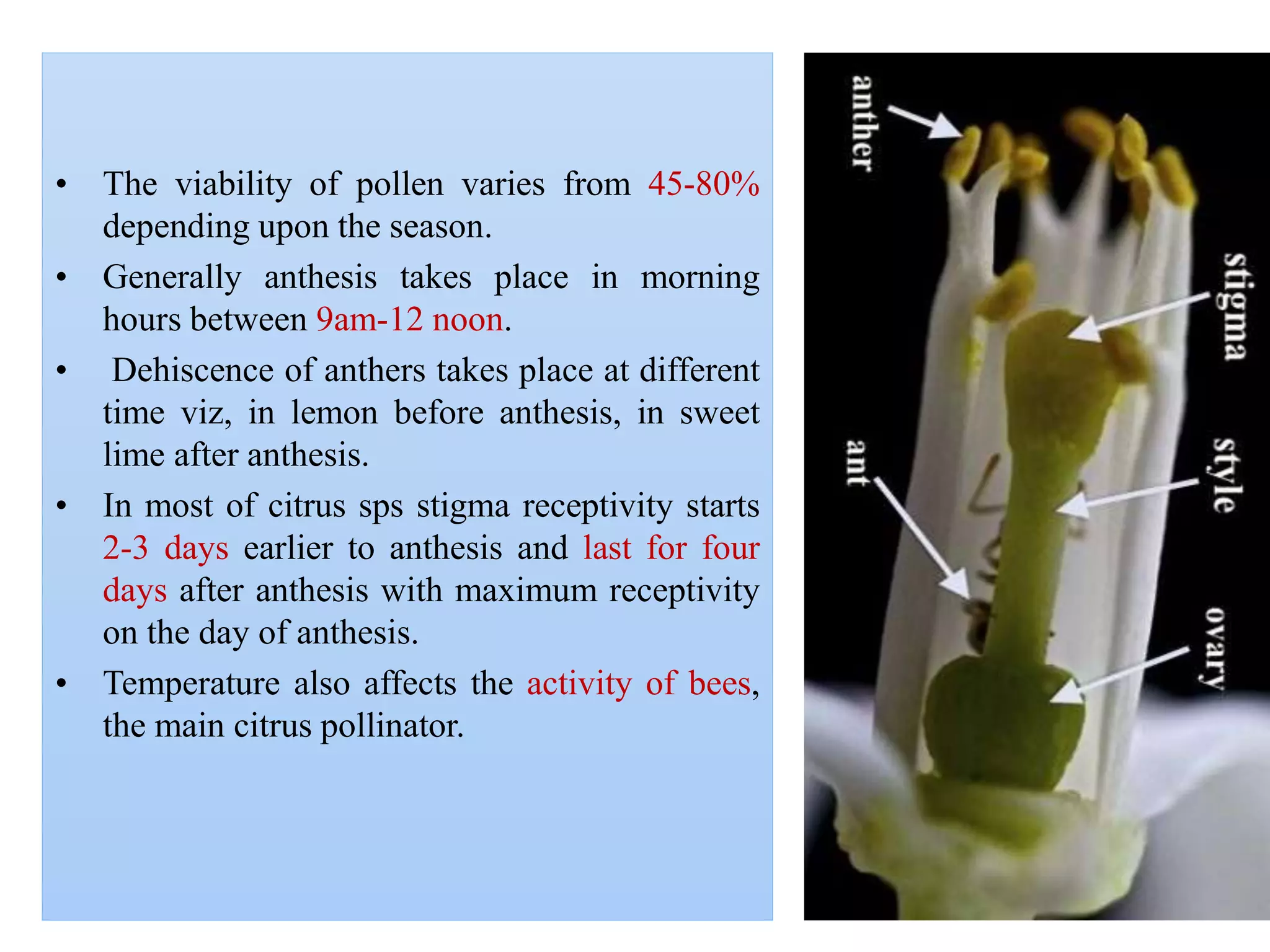 Breeding of citrus | PPTX