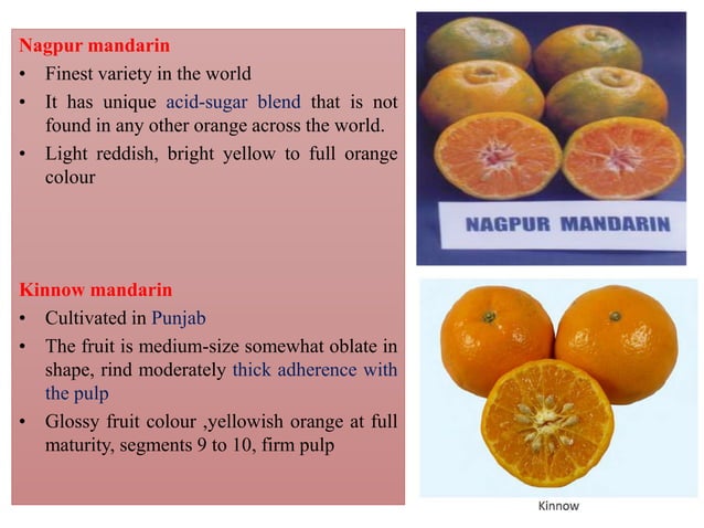 Breeding of citrus | PPTX
