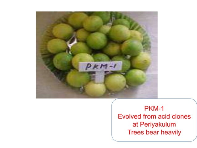 Breeding of citrus | PPTX