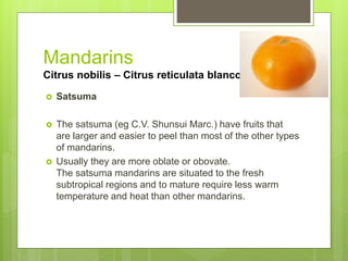 Citrus fruit variety | PPTX