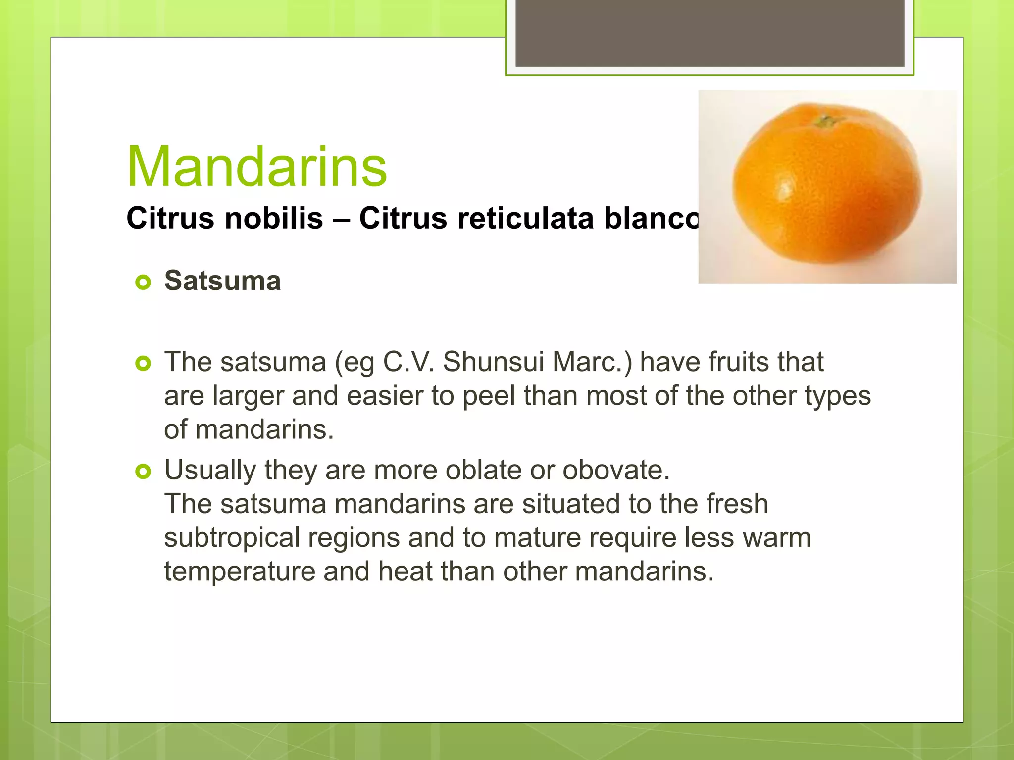 Citrus fruit variety | PPT