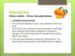 Citrus fruit variety | PPTX
