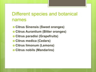 Citrus fruit variety | PPTX