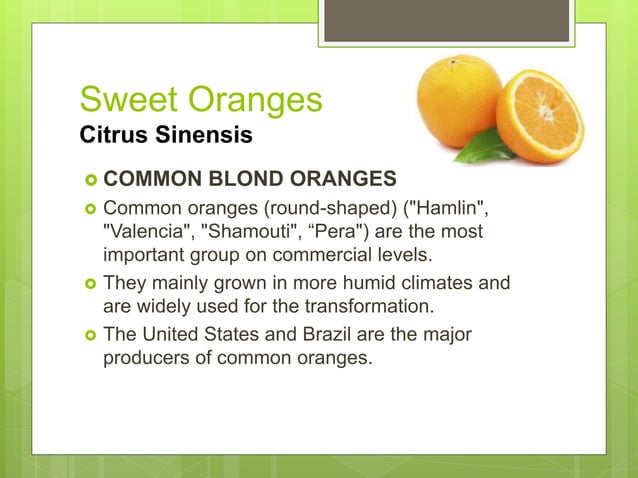 Citrus fruit variety | PPTX