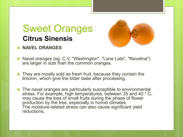 Citrus fruit variety | PPTX