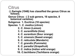 Citrus genetic resources presentation | PPTX