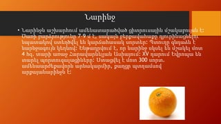 Citrusner | PPT