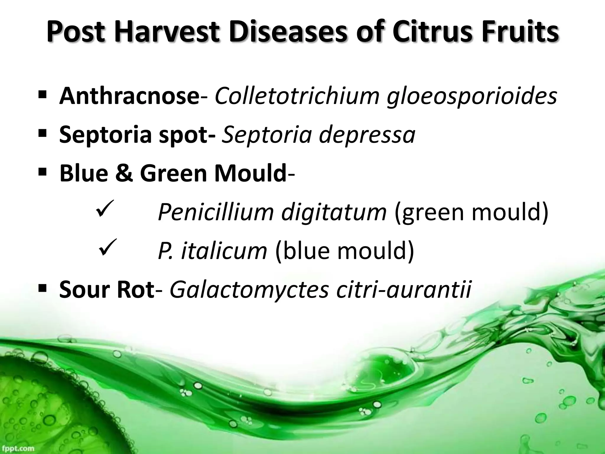 Post Harvest Diseases of Citrus | PPTX
