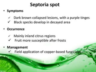 Post Harvest Diseases of Citrus | PPTX