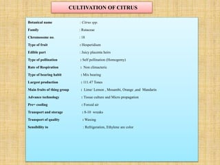 Citrus ppt | PPTX