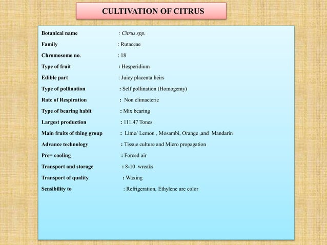 Citrus ppt | PPTX | Agriculture | Industries