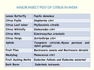 Insect pest of Citrus in India | PPTX