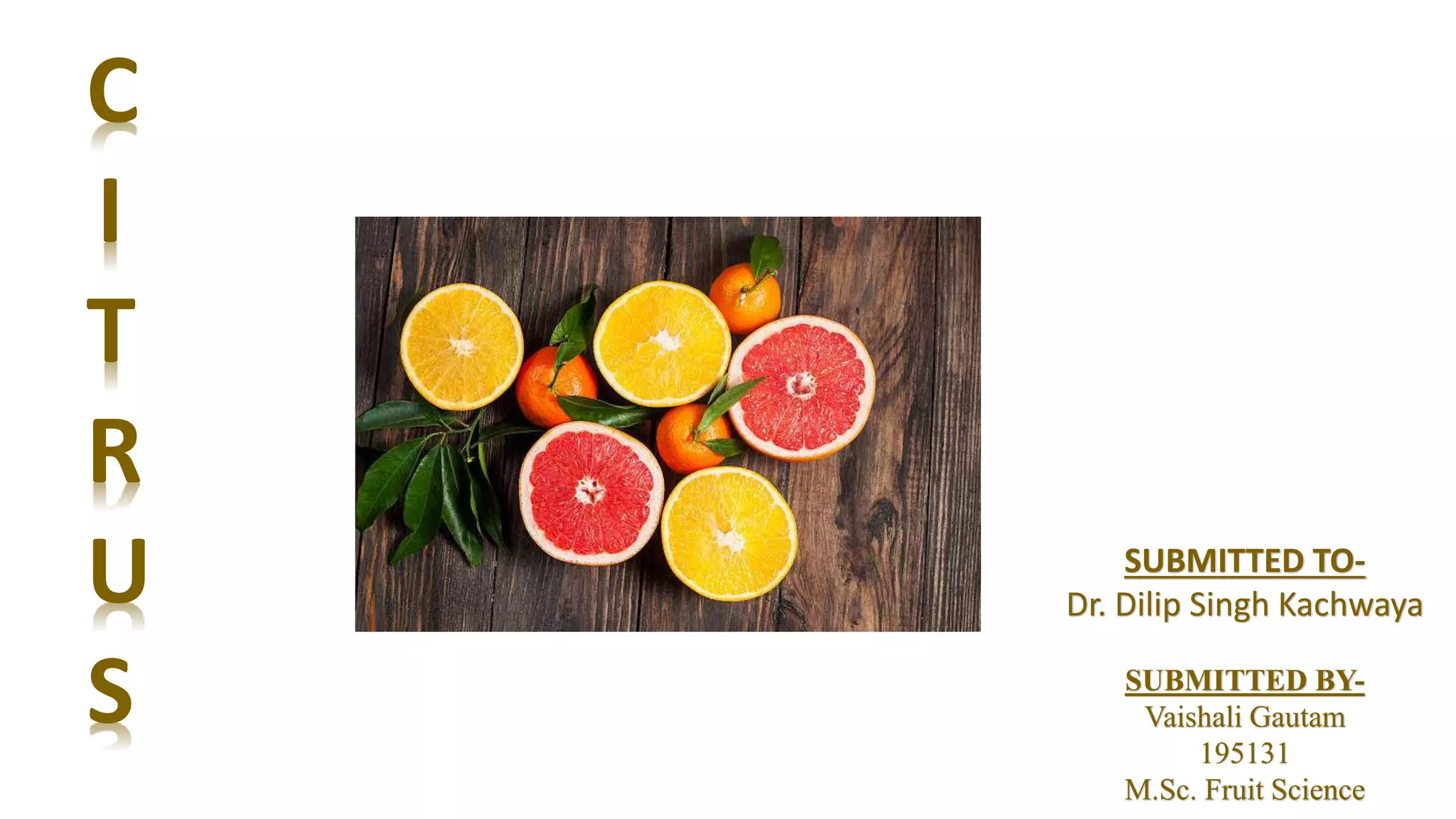 Citrus presentation | PPTX