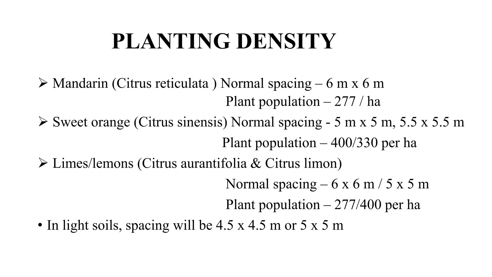 Citrus presentation | PPTX