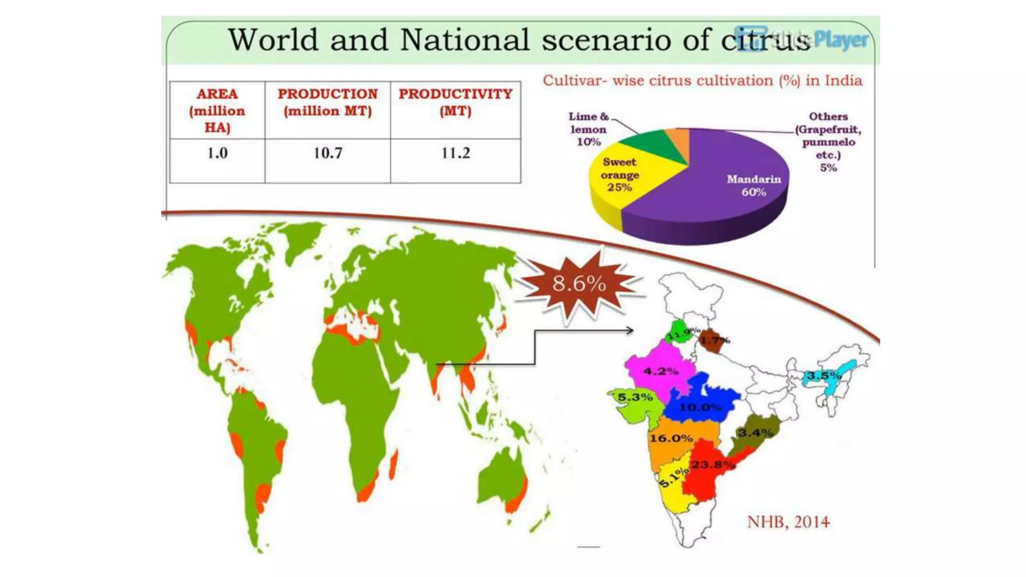 Citrus presentation | PPTX