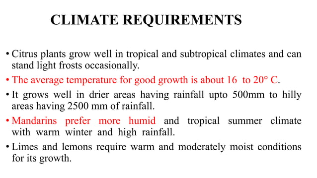 Citrus presentation | PPTX