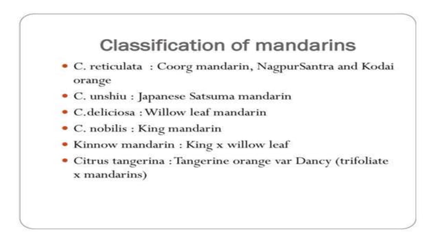 Citrus presentation | PPTX