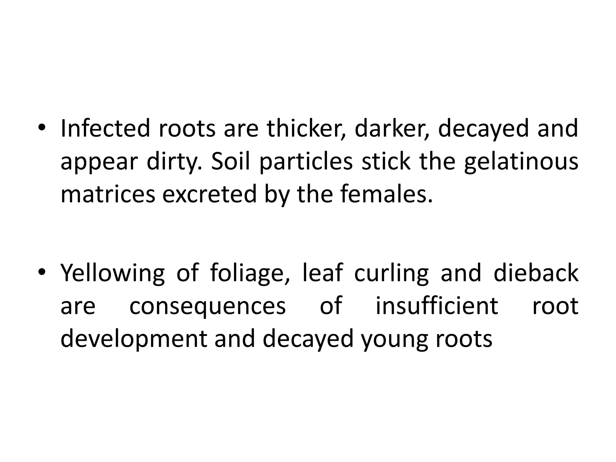 Citrus slow decline Tylenchulus semipenetrans | PPTX