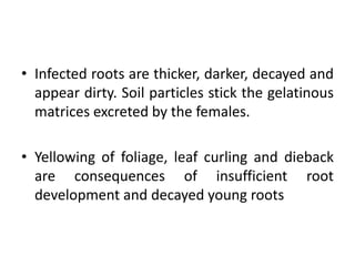 Citrus slow decline Tylenchulus semipenetrans | PPTX
