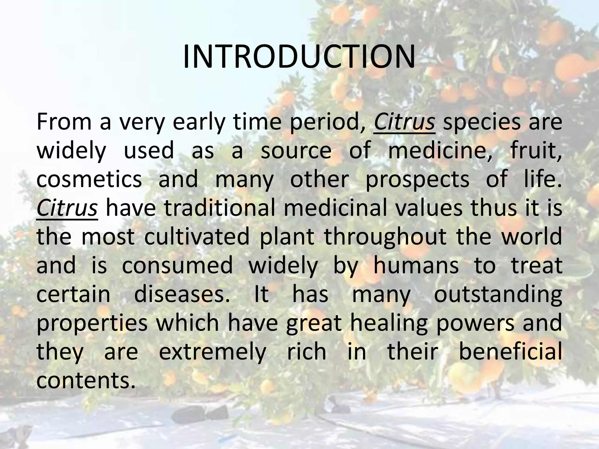 Citrus species | PPT
