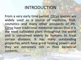 Citrus species | PPT