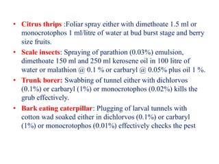 Production technology of Citrus spp(horticulture ) | PDF