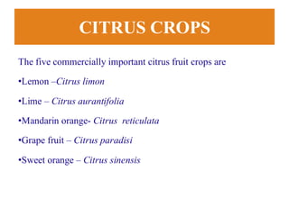 Production technology of Citrus spp(horticulture ) | PDF