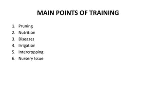 Citrus Training about post-harvesting.pptx
