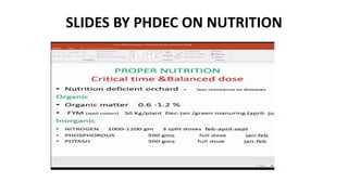 Citrus Training about post-harvesting.pptx