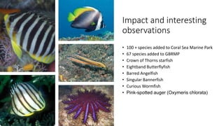 Citizen science of the Great Barrier Reef and Coral Sea Expedition | PPT
