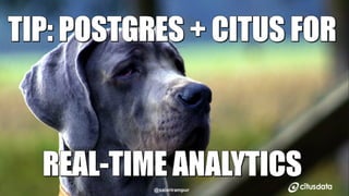 Using Postgres and Citus for Lightning Fast Analytics, also ft. Rollups | Live Demo | Sai ...