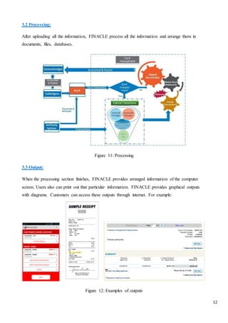 City bank - (FINACLE) Information System Report | DOCX