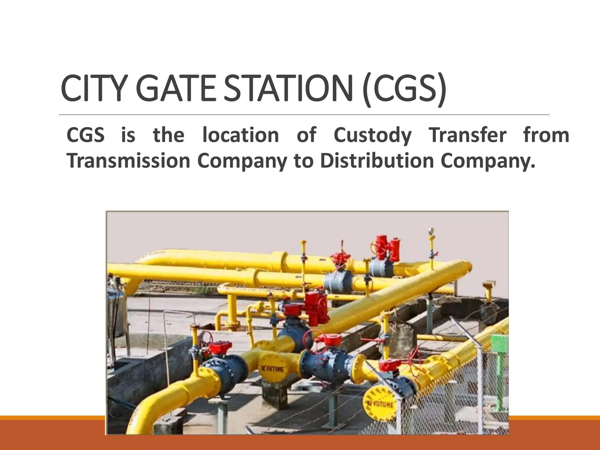 City gas distribution- Complete Overview | PDF