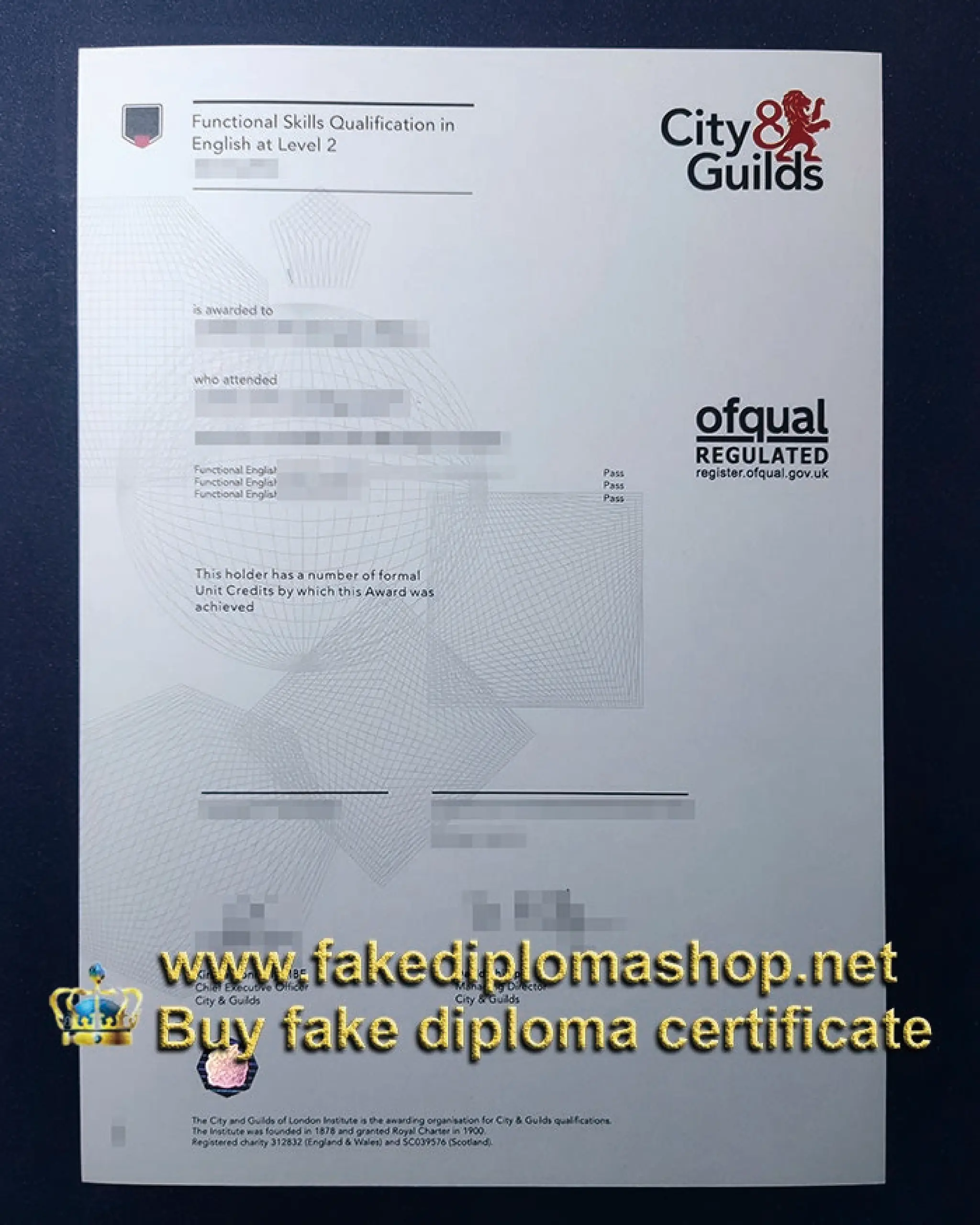 City Guilds Functional Skills Qualification in English certificate ...
