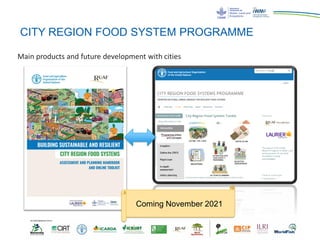 City region food system program | PDF