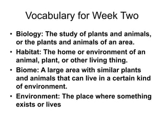 City wildlife vocabulary | PPT