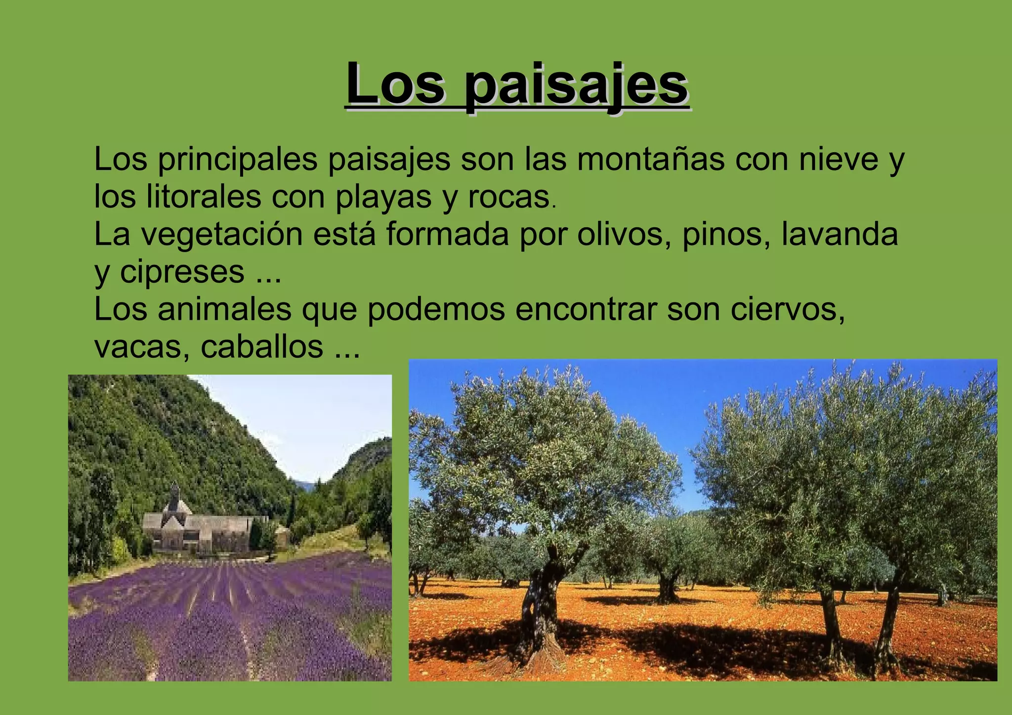 Ciudades de la region PACA | ODP