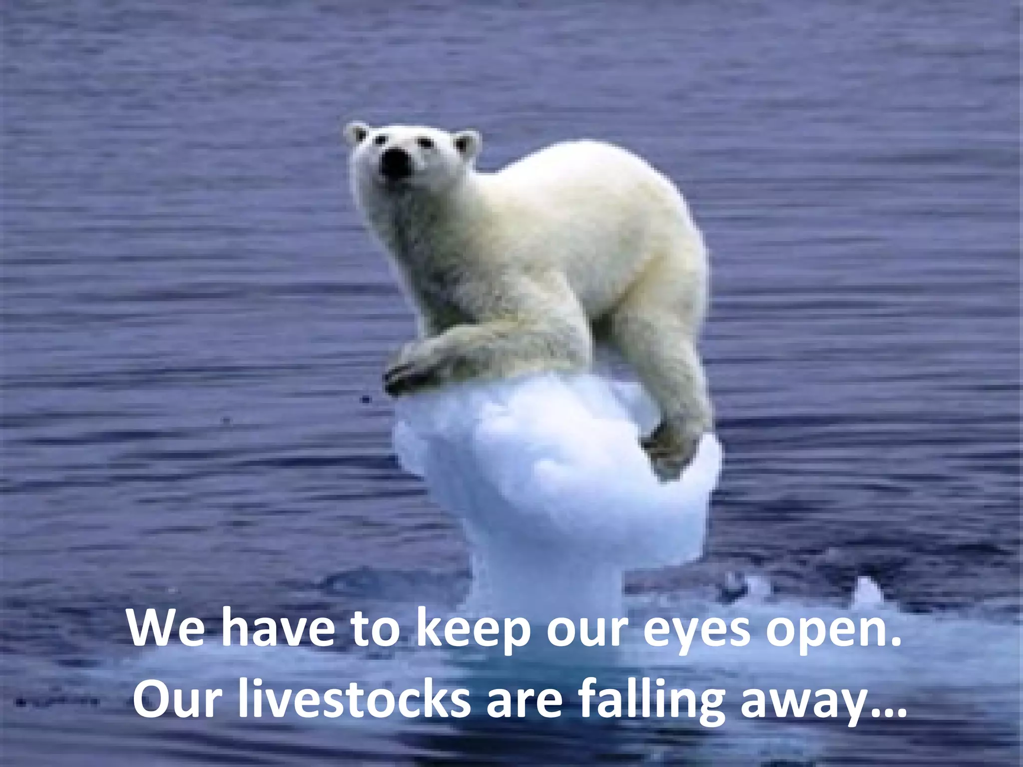 Weather vocabulary/simple present/progressive | PPT