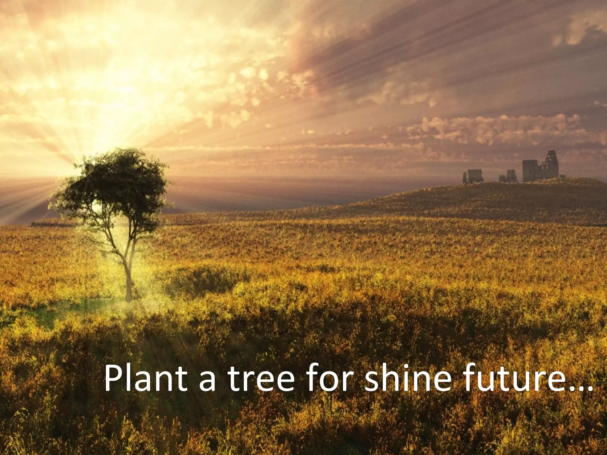 Weather vocabulary/simple present/progressive | PPT