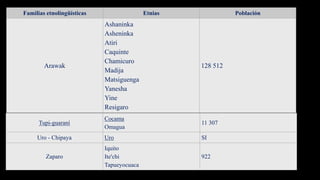 Diversidad Étnica | PPTX
