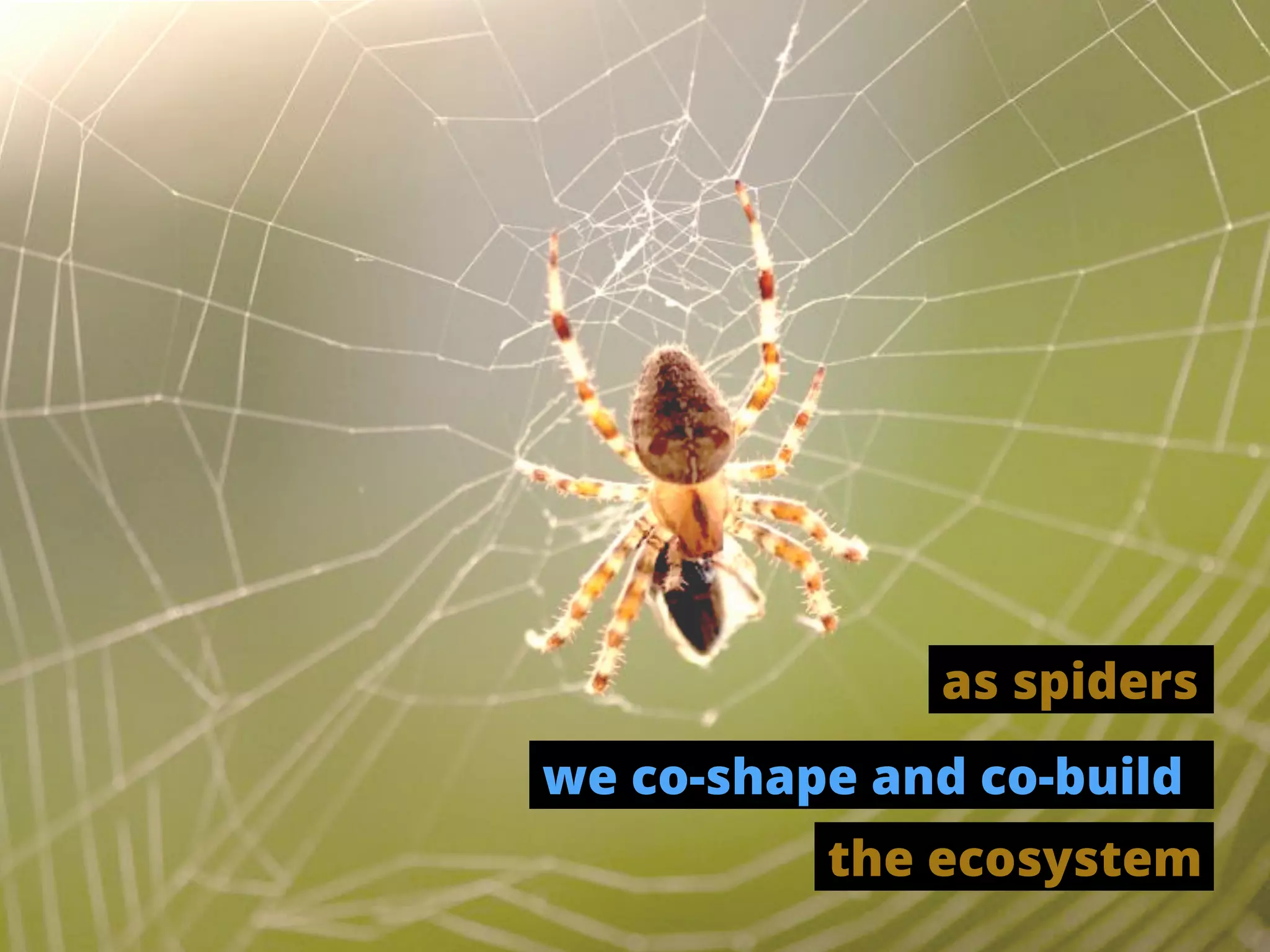 Civic architecture: challenges and opportunities for the avoidance of ...