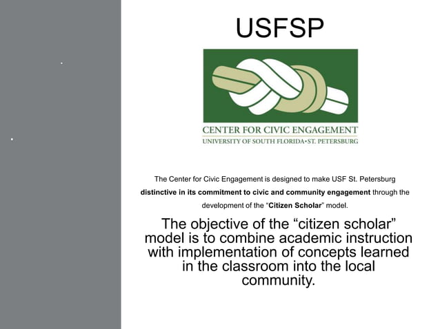 Civic engagement ppt lecture | PPSX | Civic affairs | Politics
