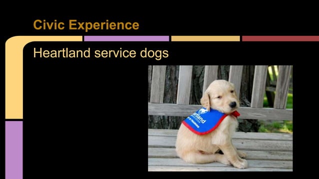 Civics 101 presentation | PPTX